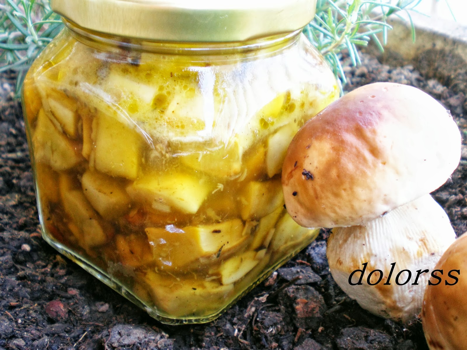 Blog de cuina de la dolorss: Ceps o boletus edulis en conserva