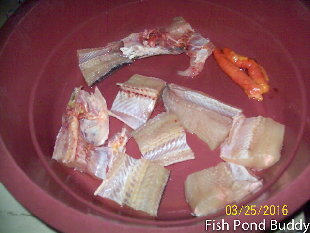 Fish Pond Buddy: How to Clean Mudfish ("Dalag")