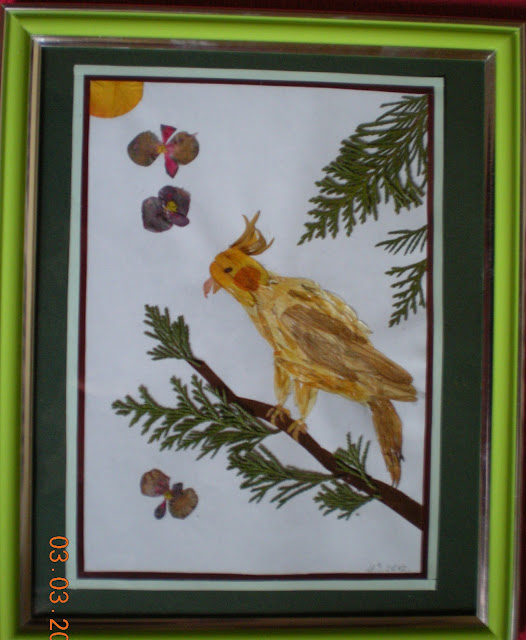 Slike od presovanog cveca i lisca: Slike od suvog cveca i lisca