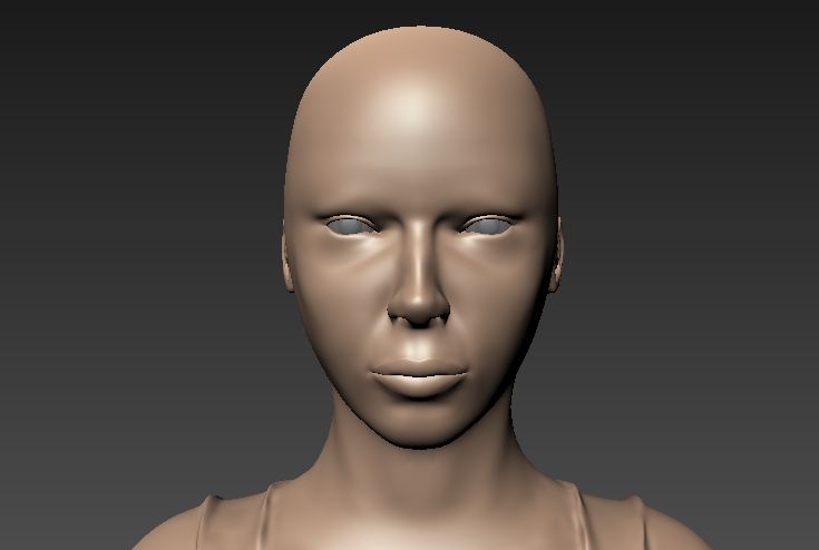 Final Year Project: Sculpting the head