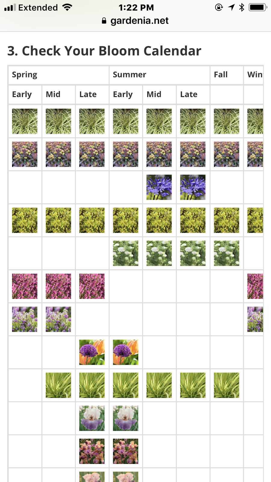 Romancing the Home: Garden Design for Year Round Color