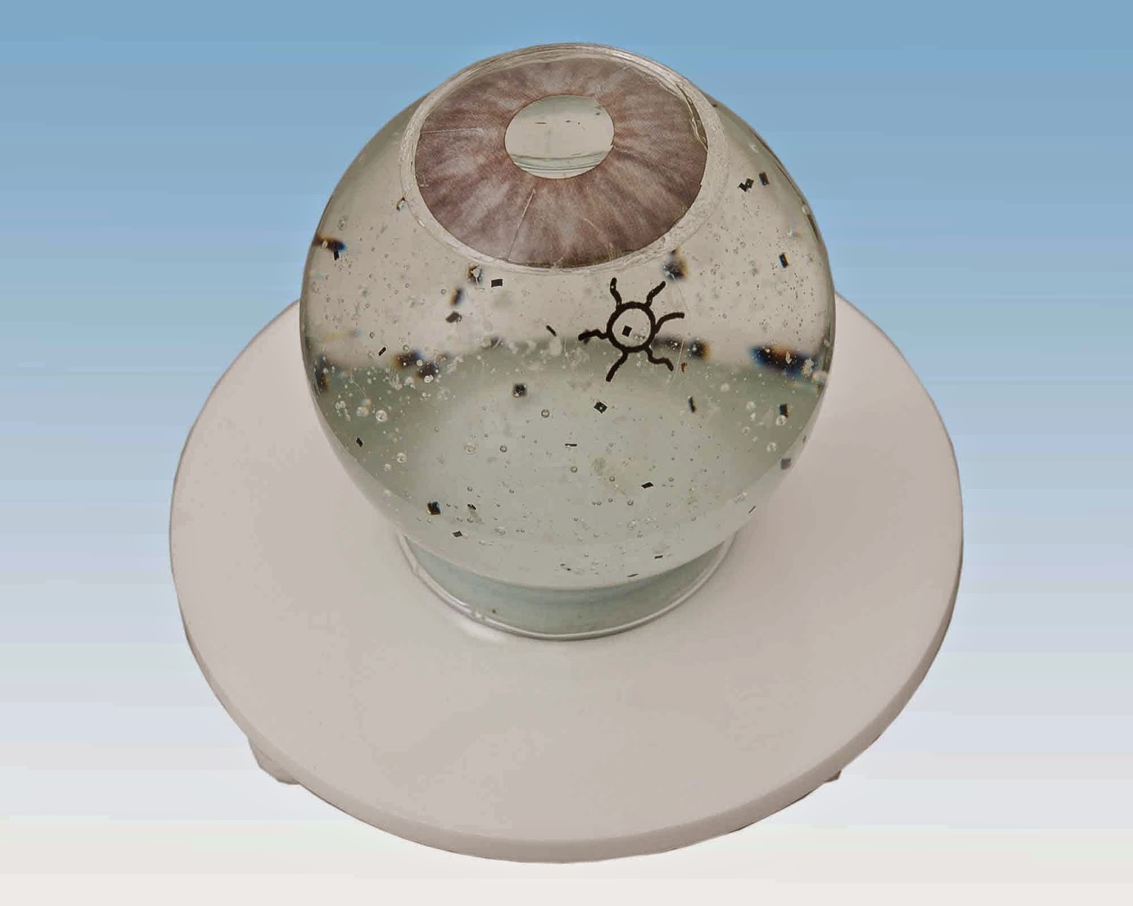 Eye Floaters Review - How To Remove Eye Floaters?: Diet For Eye ...