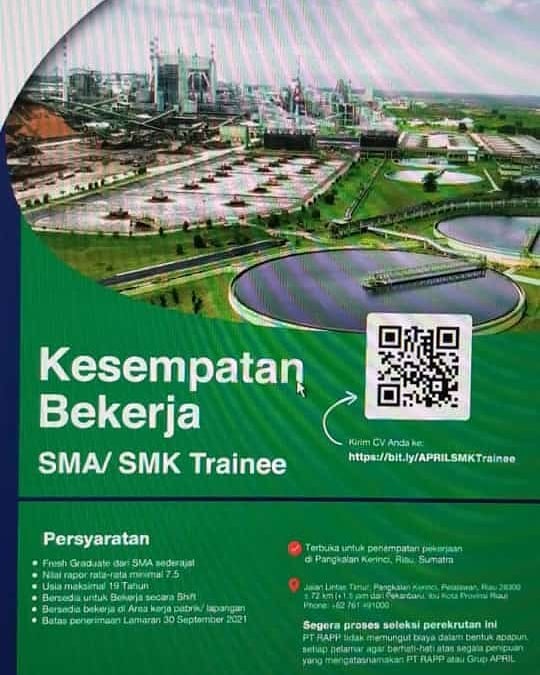 PT Riau Andalan Pulp and Paper (RAPP)