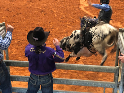 the other paper: Arcadia All-Florida Championship Rodeo Is A Bucking ...