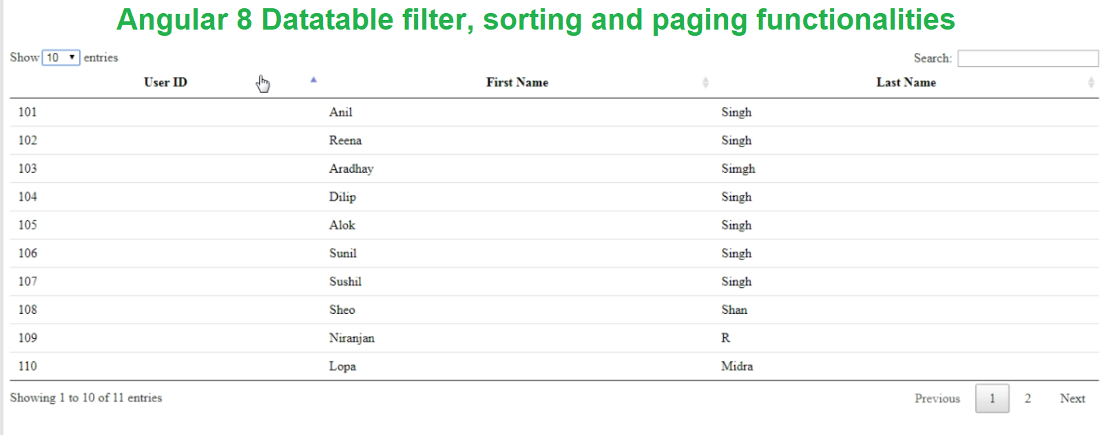 Angular Datatable Server Side Pagination