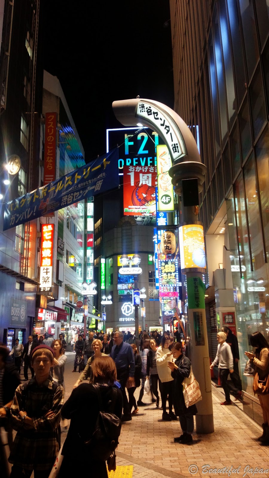 Beautiful Japan: Shibuya