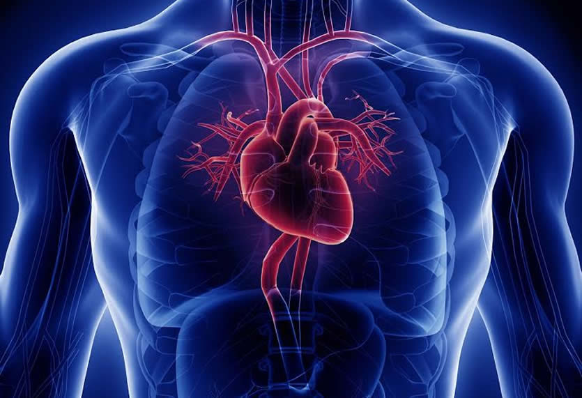 PROGRAMA SALUD CARDIOVASCULAR