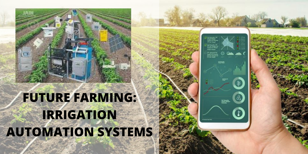 A Complete Guide to Irrigation Automation Systems
