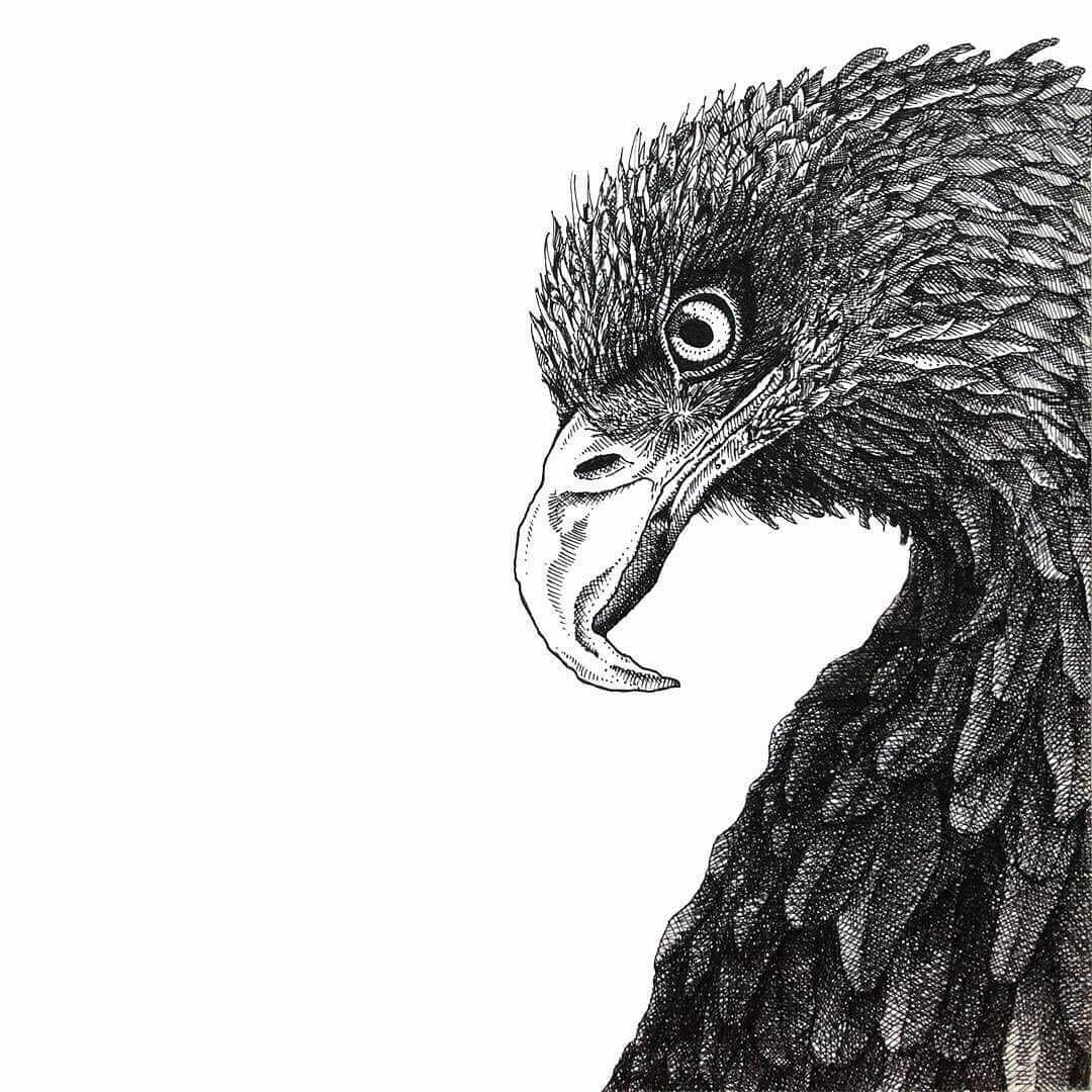 Design Stack: A Blog about Art, Design and Architecture: Animal ...