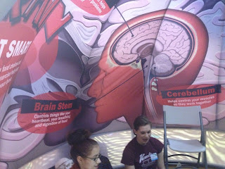 The Body Venture Exhibit! | Mrs. Hodge's Kids