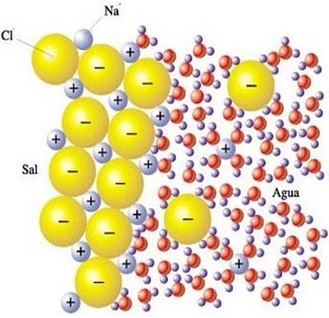 Anatomía y Fisiología Humana en la Enseñanza Médico-Quírurgica: SHOCK ...