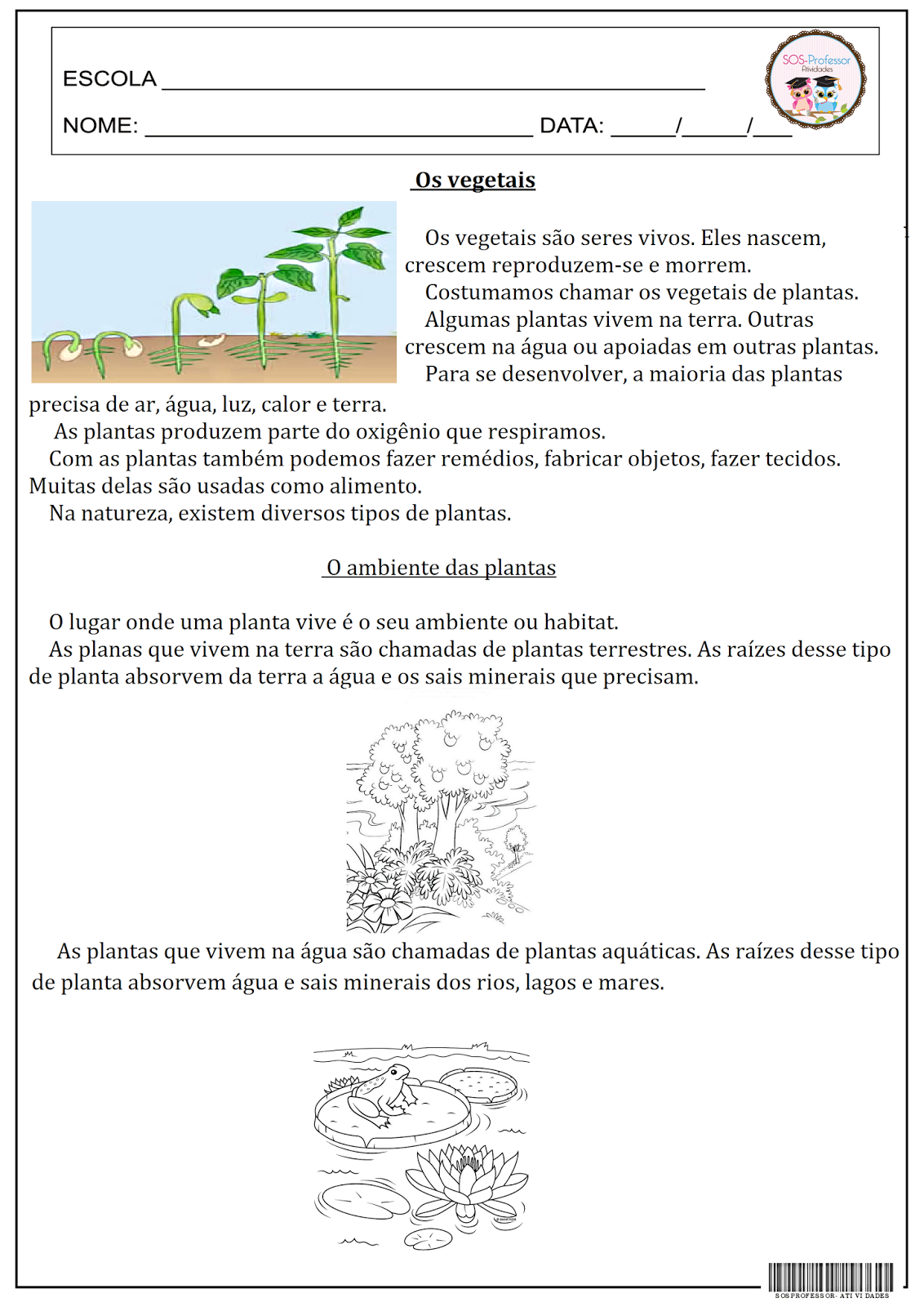 SOS PROFESSOR-ATIVIDADES: Os vegetais