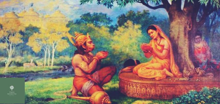 Ashoka Tree: Description, Vastu, Uses, and How to grow