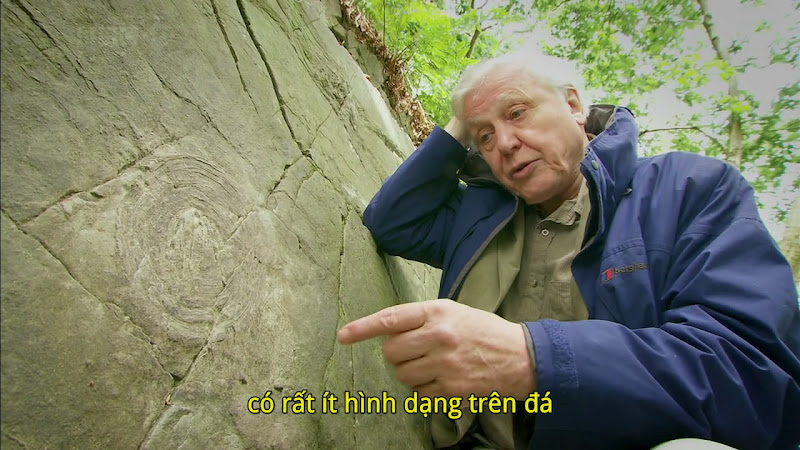 Charles Darwin and the Tree of Life ~ Store Free Download Movies