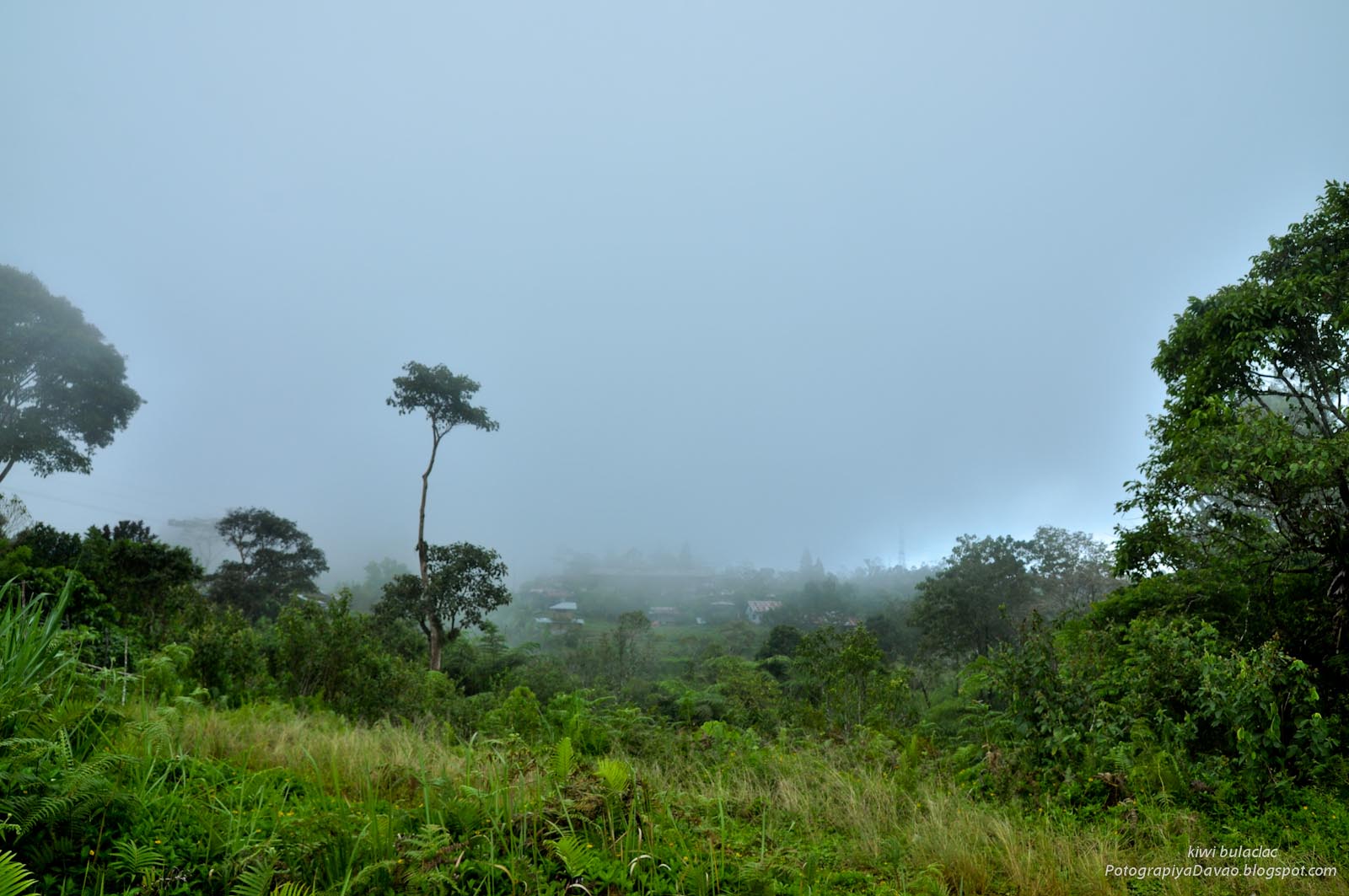 Davao Pictures | Davao Photos - POTOGRAPIYA DABAW
