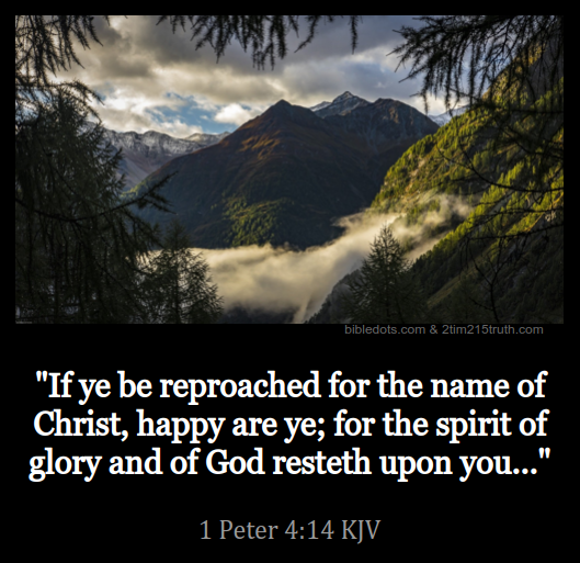 2 Timothy 2:15 Truth: Verse of the Day: 1 Peter 4:14 KJV