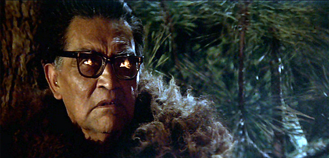 THE B-MOVIE NEWS VAULT: WANTED ON BLU-RAY: PROPHECY (1979)