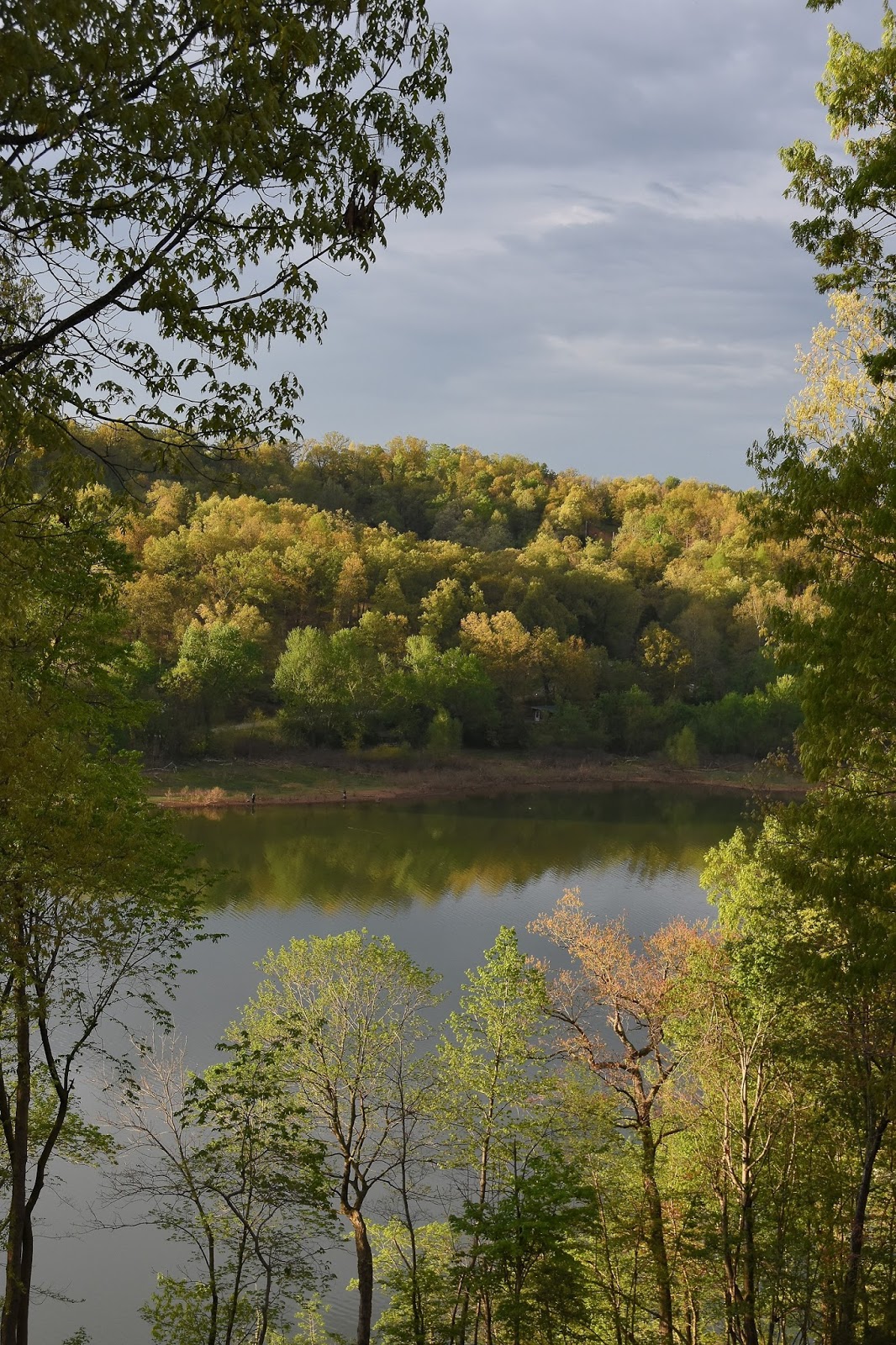 Tom and Margot's Adventures in Photography: Spring in Arkansas