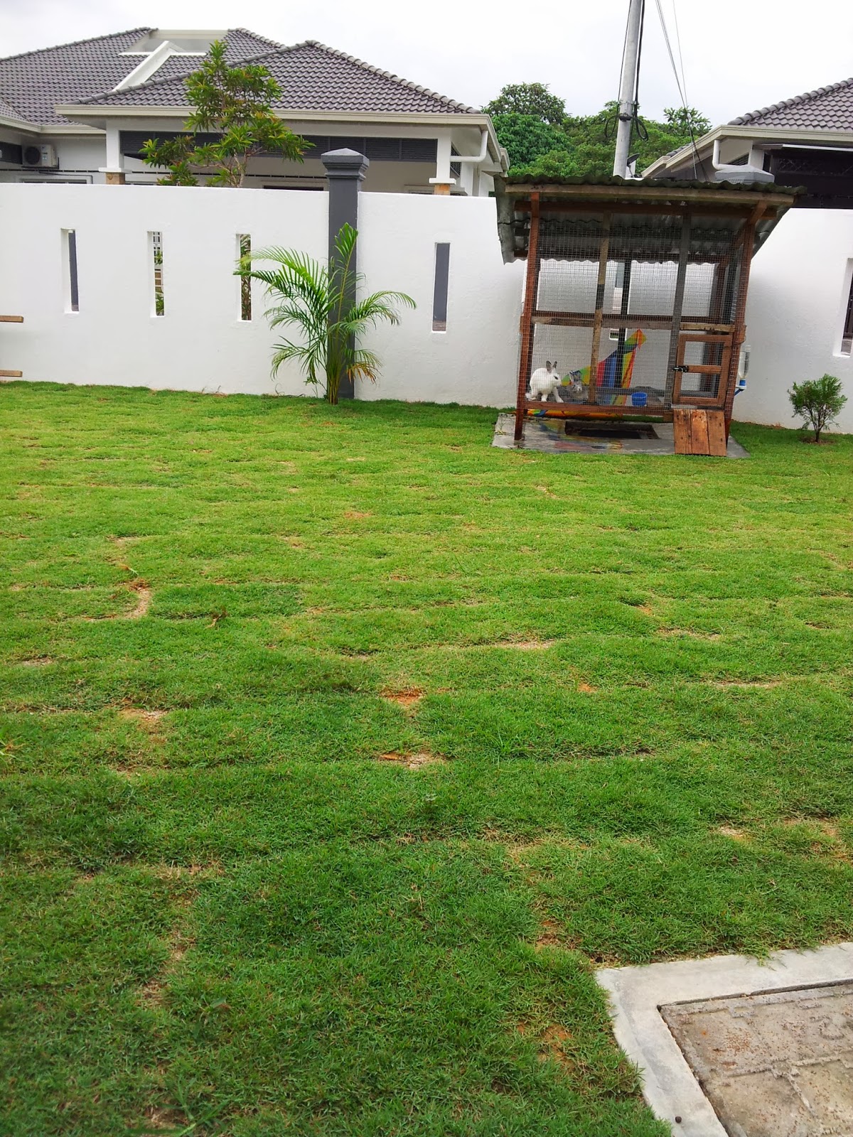 Top Ide Halaman Luar Rumah