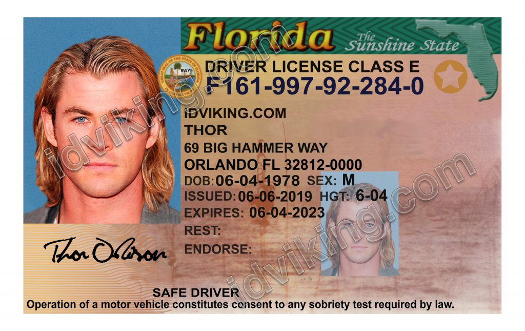 Fake Document Editing Services: Florida (FL) Driving Licence Template