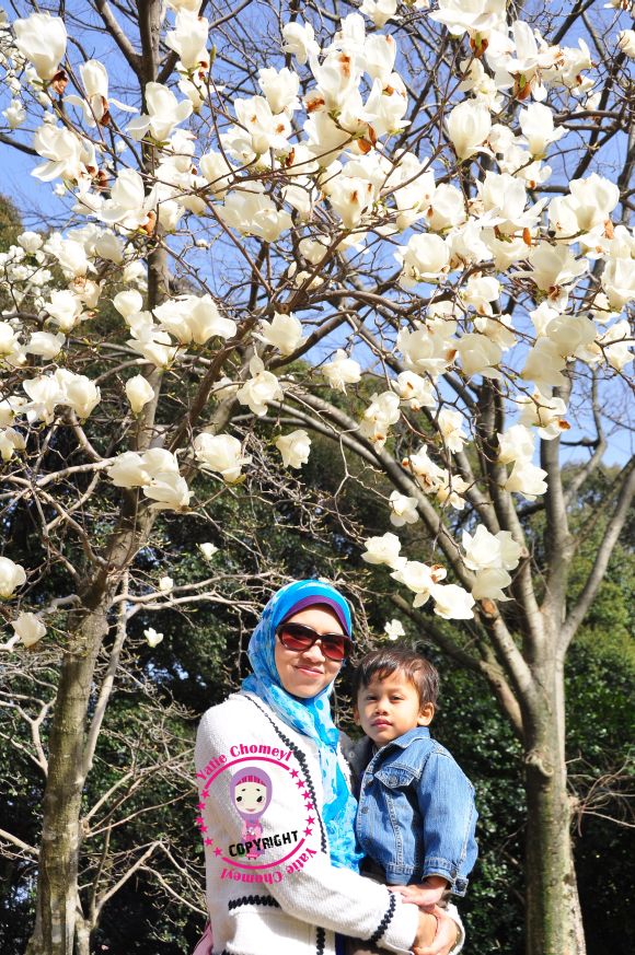 Menjenguk bunga di Mt. Aburayama Citizens’ Forest | ~ Yatie Chomeyl ...