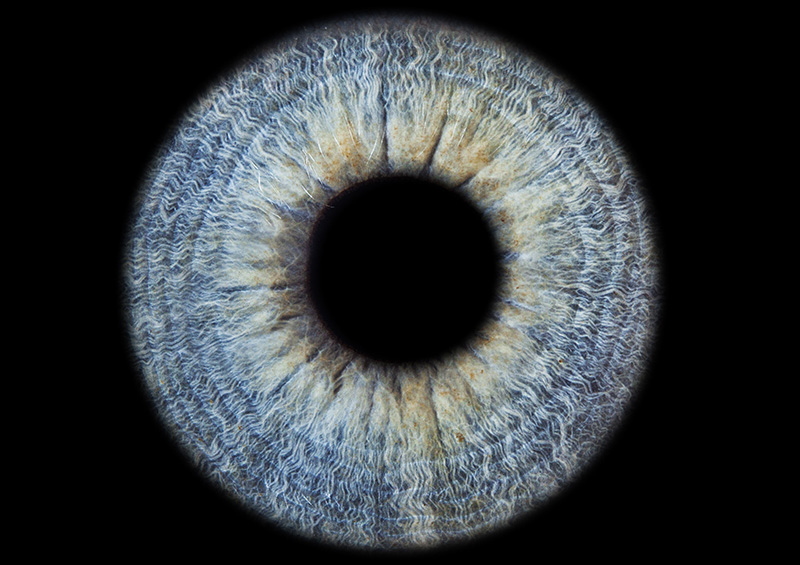 Bulmaca Bil: Göz bebeği ...