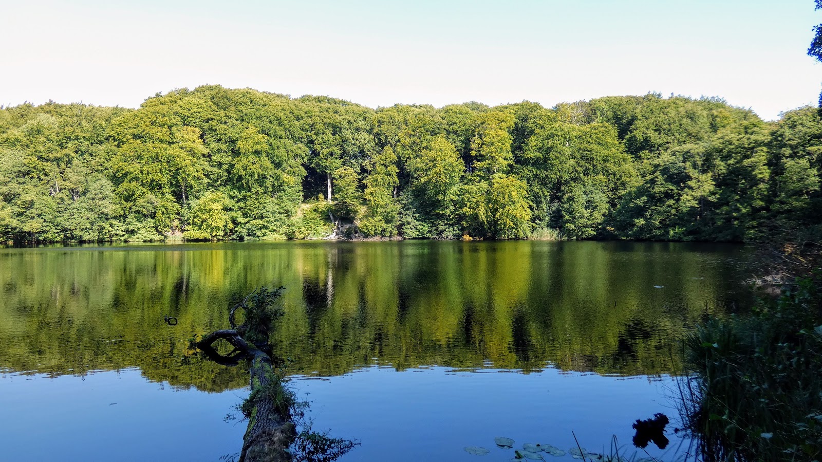 Rugia - największa niemiecka wyspa | Przyra.pl