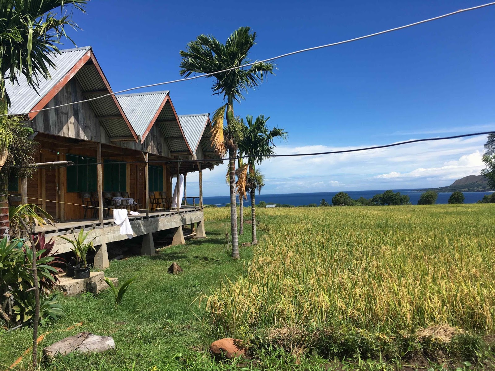 WAE REBO - PERJALANAN MURAH DAN PENUH SEJUTA CERITA - Food Steps Journal