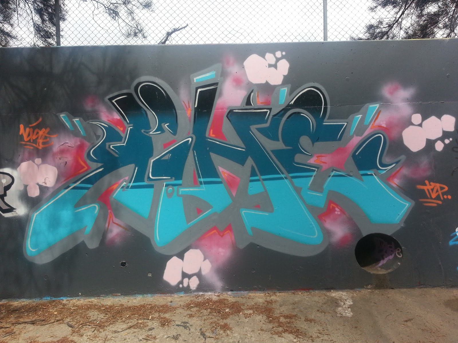 Canberra Graffiti: Kine
