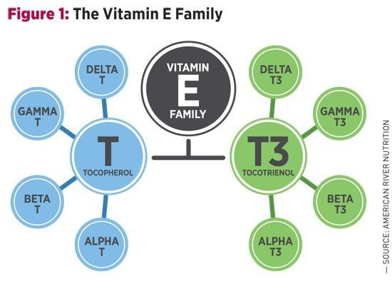 Vitamin E Tokotrienol Agen Awet Muda