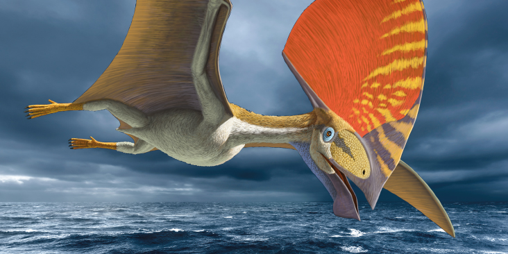 Lord of the Western Keep: Petradon or Pterodactyl with Silurian rider