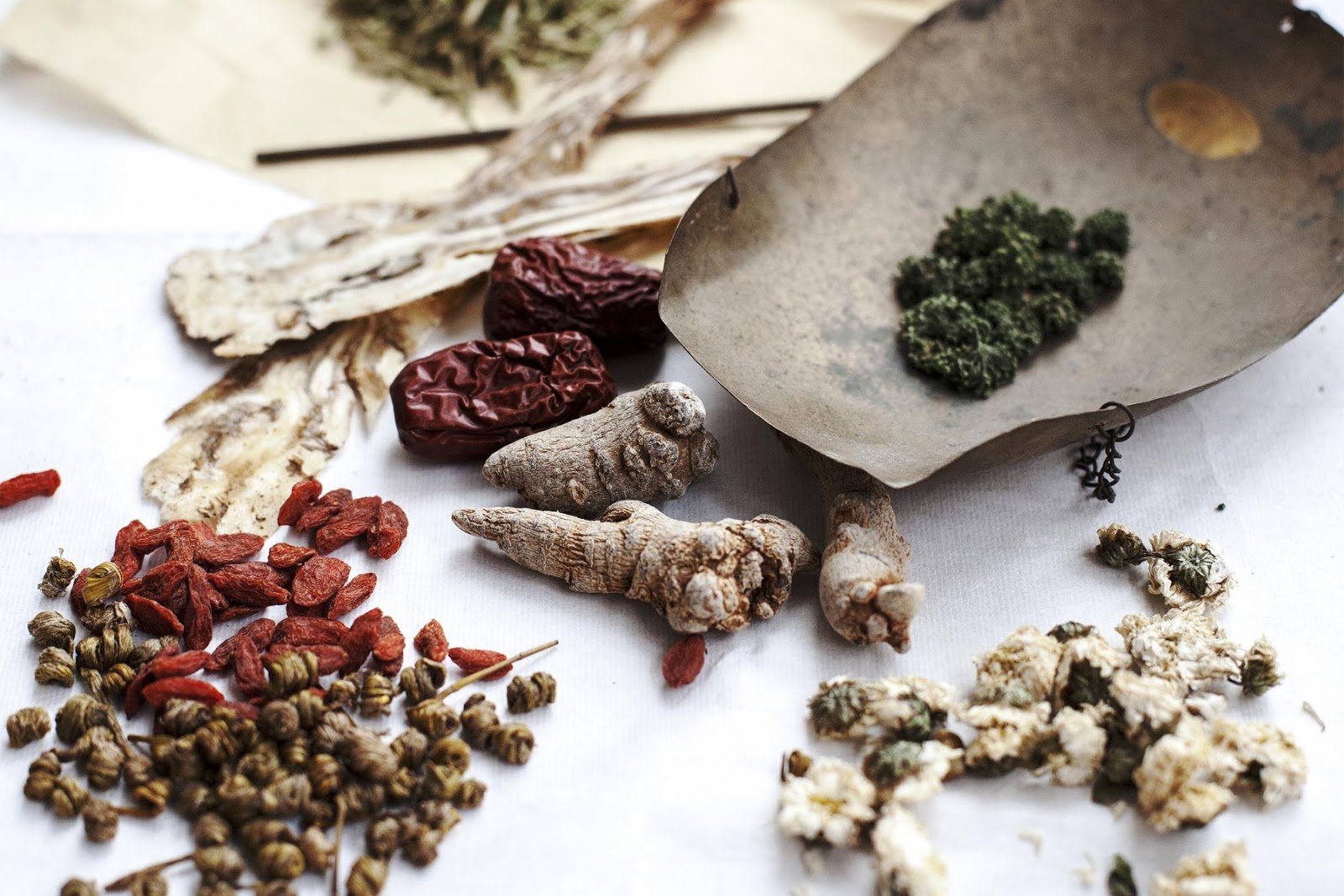 Herb A Natural Remedy HERBS FOR MEMORY RETENTION herb-a-natural-remedy-herbs-for-memory-retention