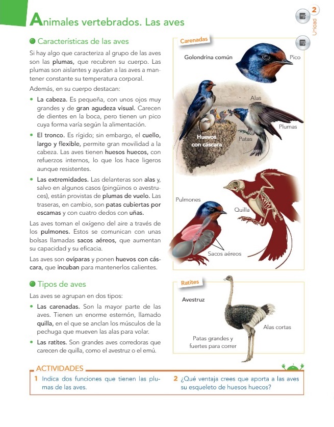 CUARTO EN CLASE: JUEVES 21 DE MAYO