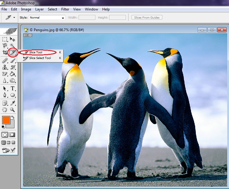 Online Classes for Photoshop: 14. Slice and Slice selection tools