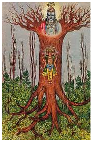 SRI VIJAYAGANAPATHI: Religious and Medicinal plants -3 ASWATHA VRUKSHAM ...