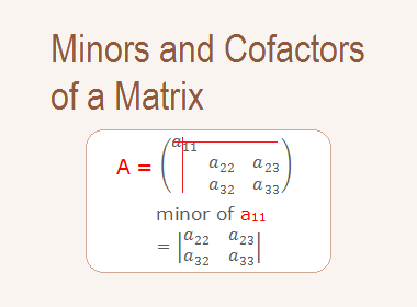10 Math Problems: Minors and Cofactors of a Matrix