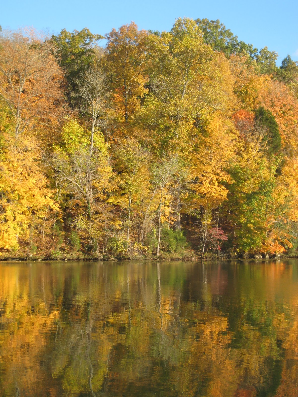 Rocky "Stops": Goose Pond to Chattanooga