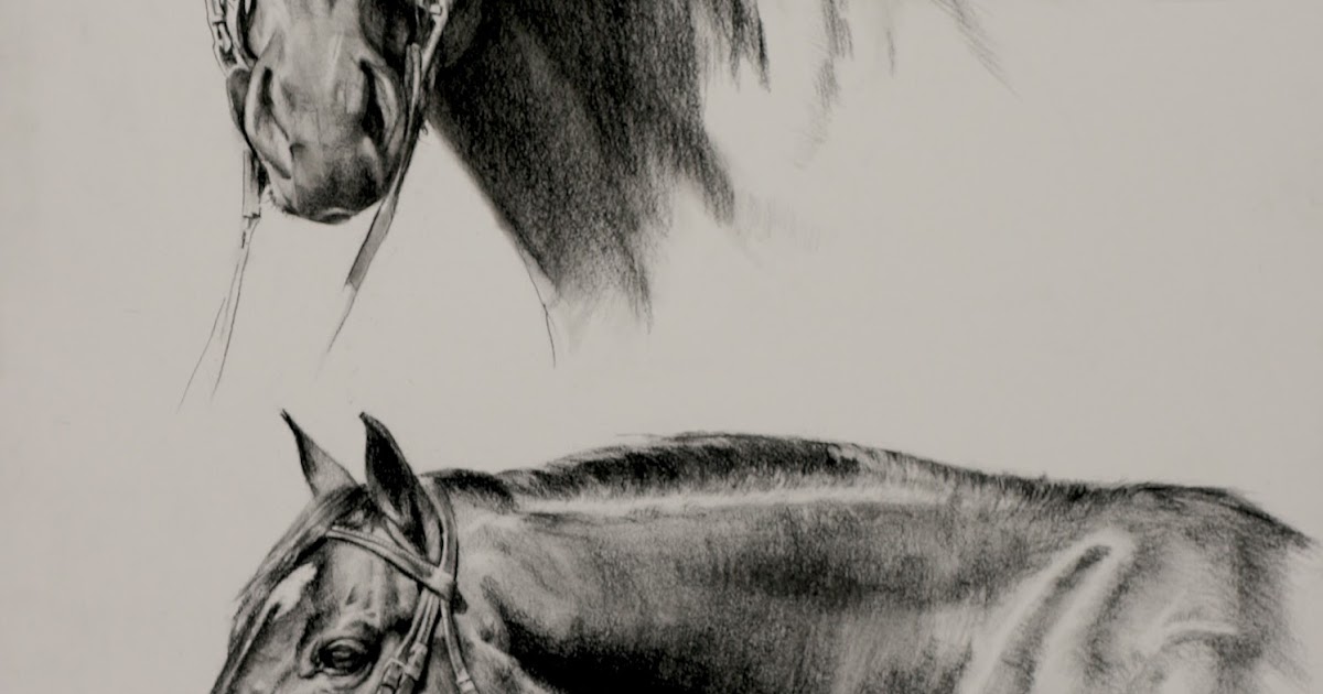 Leland Neff: Ascot, charcoal drawing, 22" x 30" by Leland Neff