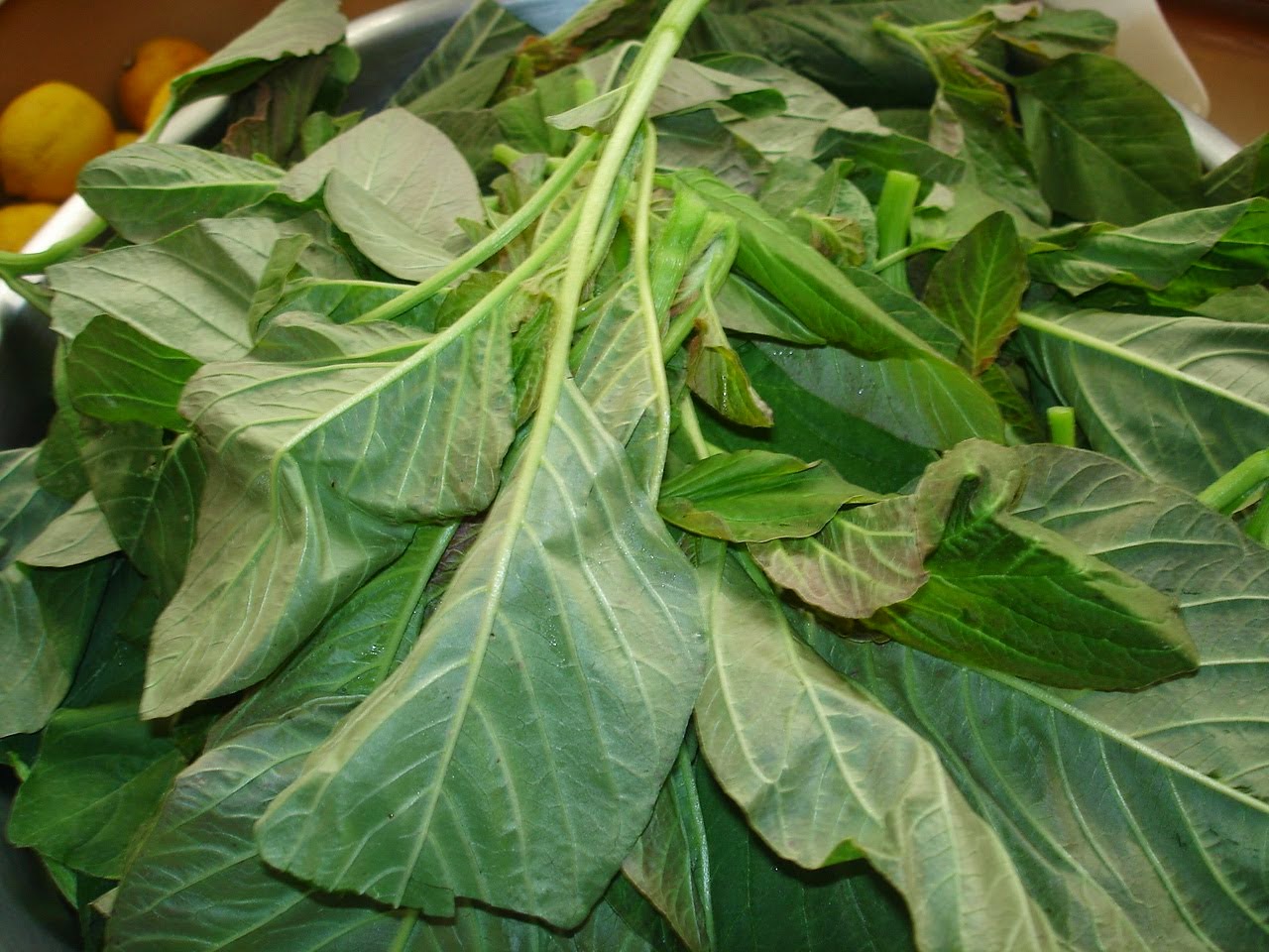 Kuzhine - Receta: Lepjeta te ziera (ose nena)