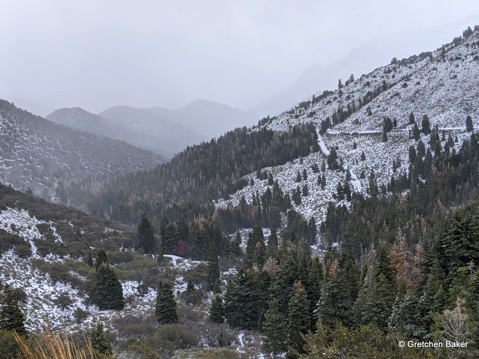 Desert Survivor: Kalamazoo Road, White Pine County, Nevada