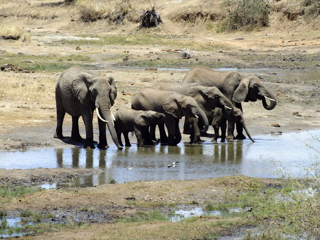 Great African Excursions: June 2012