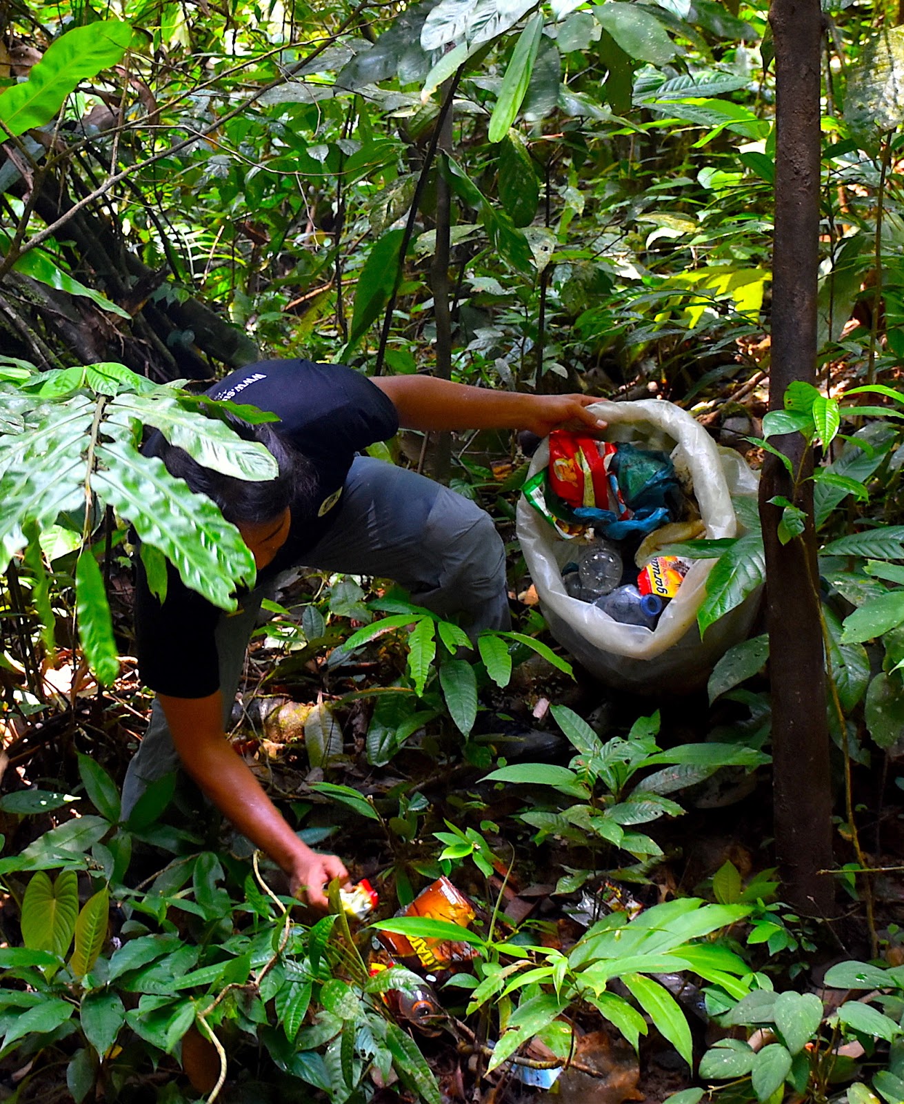 Sumatra EcoTravel: KEEP THE JUNGLE GREEN