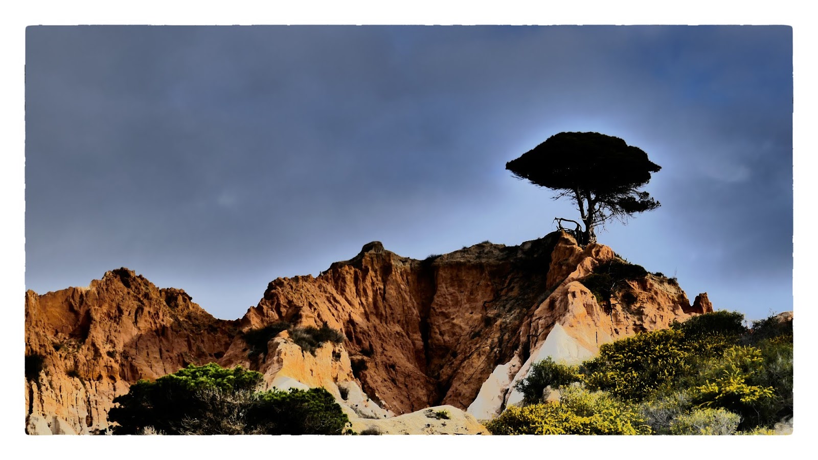 A picture a day: The Tree of Resistence