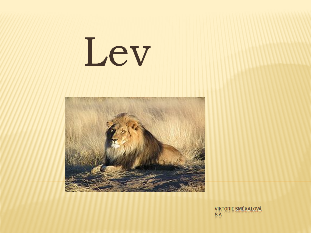 Viktorie Smékalová INFORMATIKA