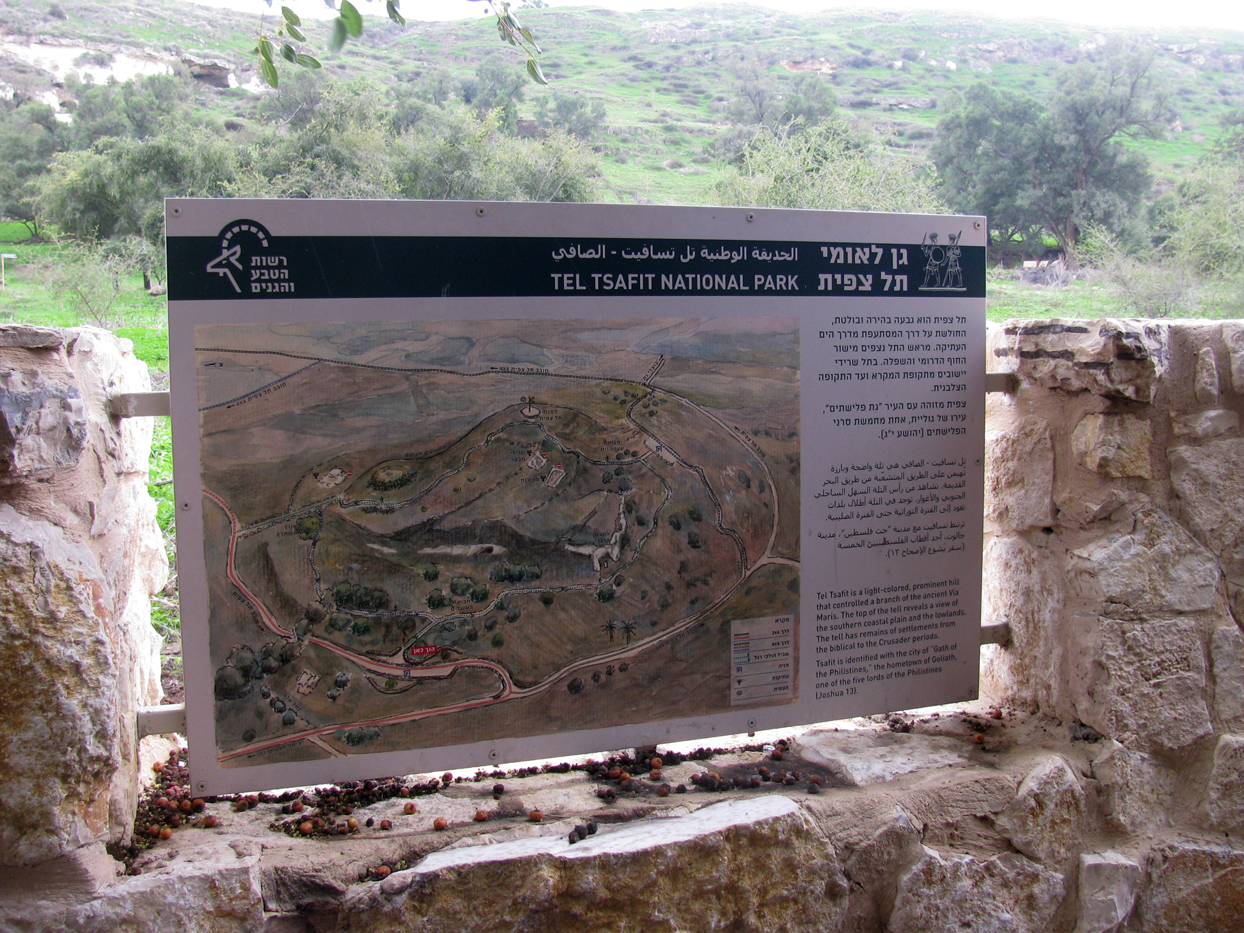 Handmade in Israel: Tel Tzafit