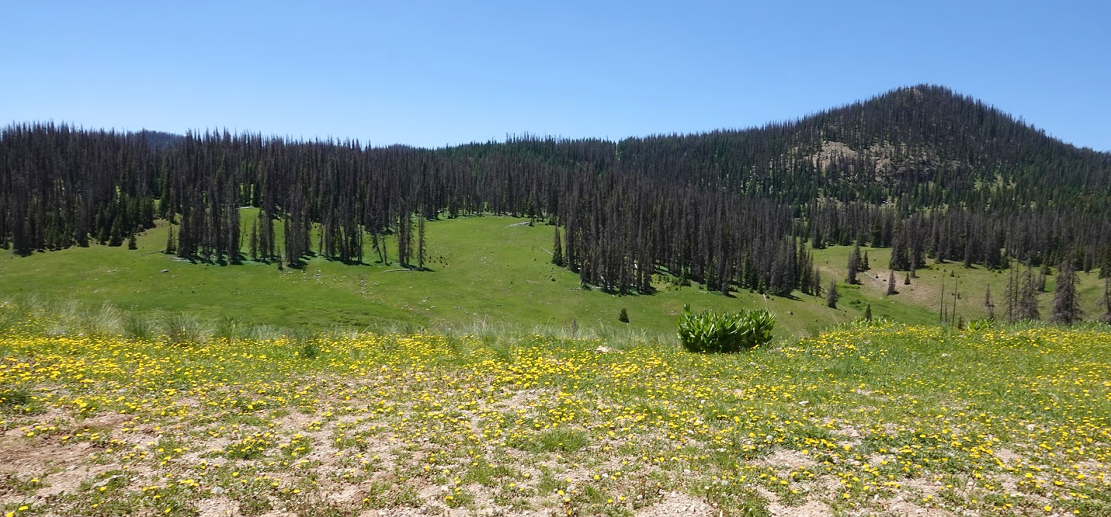 Stan's Travels: South Fork & Summitville, CO (7/19/2019)