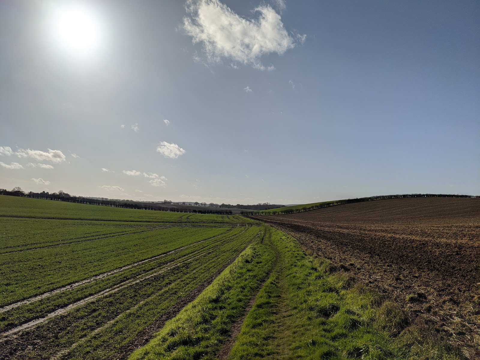 The Ridgeway (Or Icknield Way) #4: Lewknor to Goring