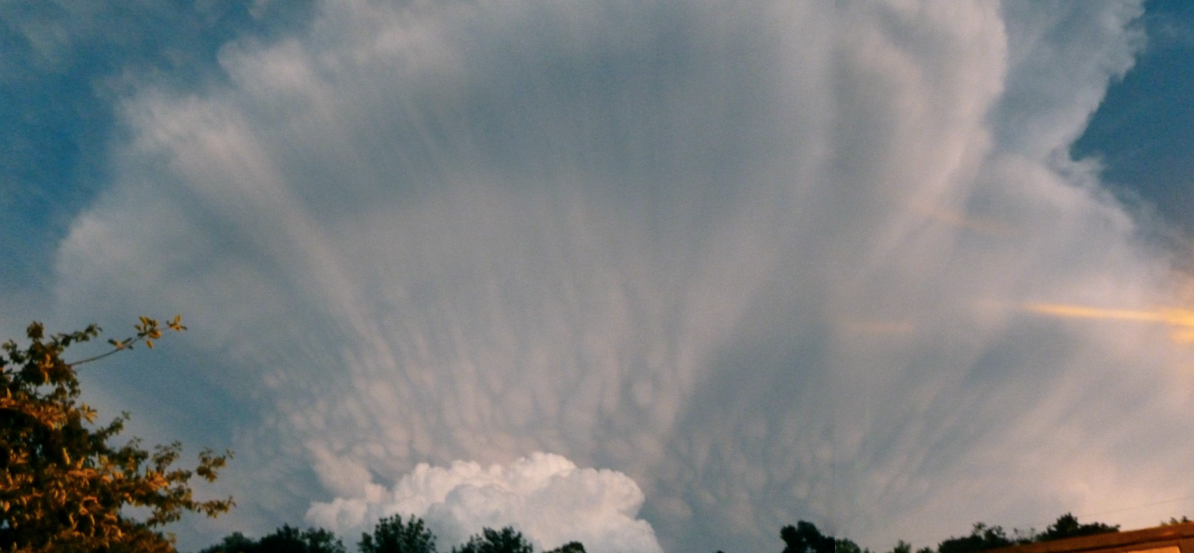 CSD: Sea Shell Cloud