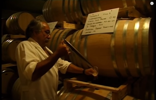 LA HISTORIA DEL VINO: ¿CÓMO COMENZÓ TODO?