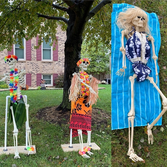 Runs for Cookies: Super Creative Skeleton Displays for Halloween! (repost)